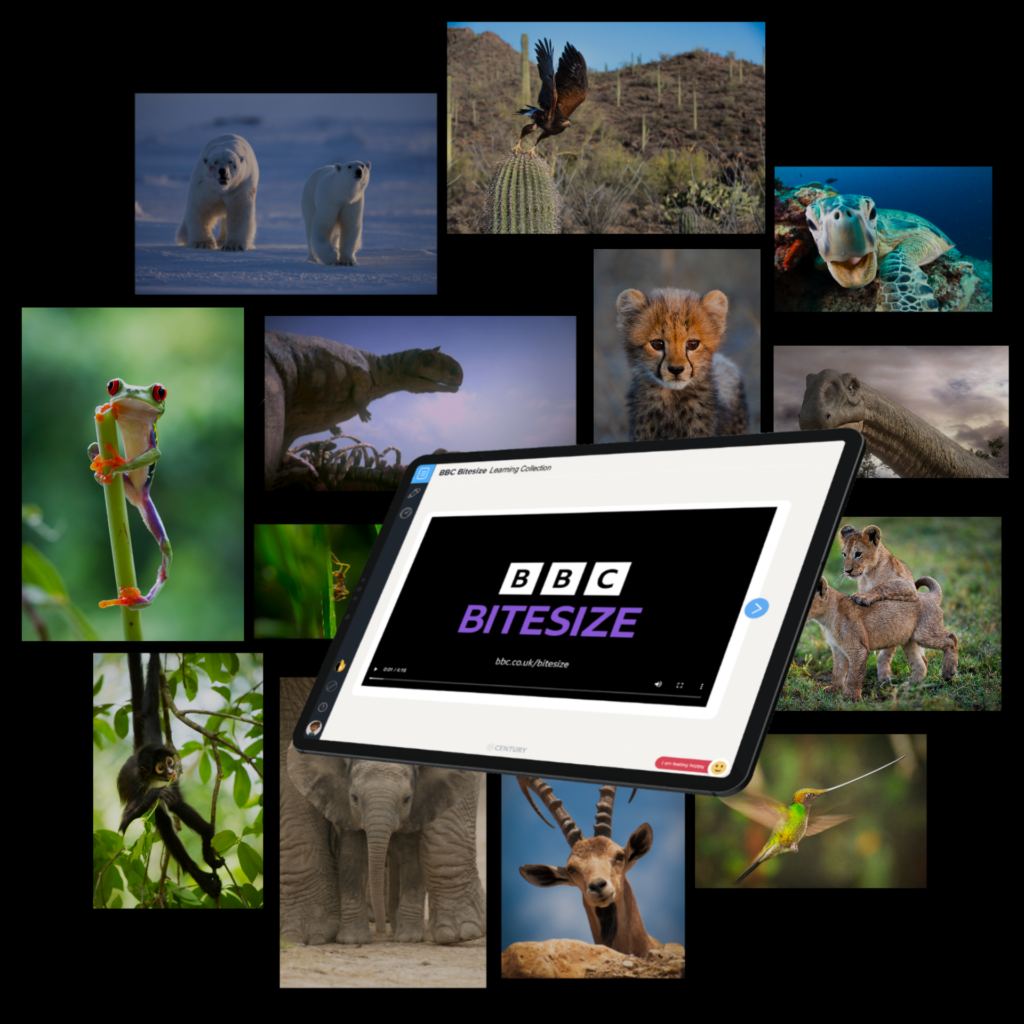 BBC Bitesize Learning Collection on CENTURY