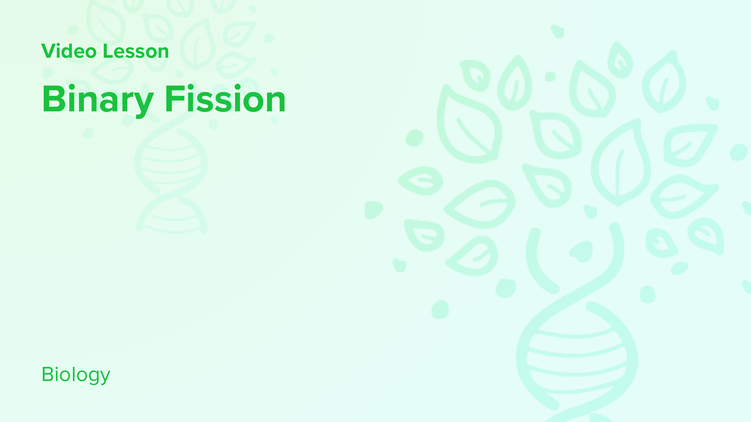 Binary Fission - CENTURY