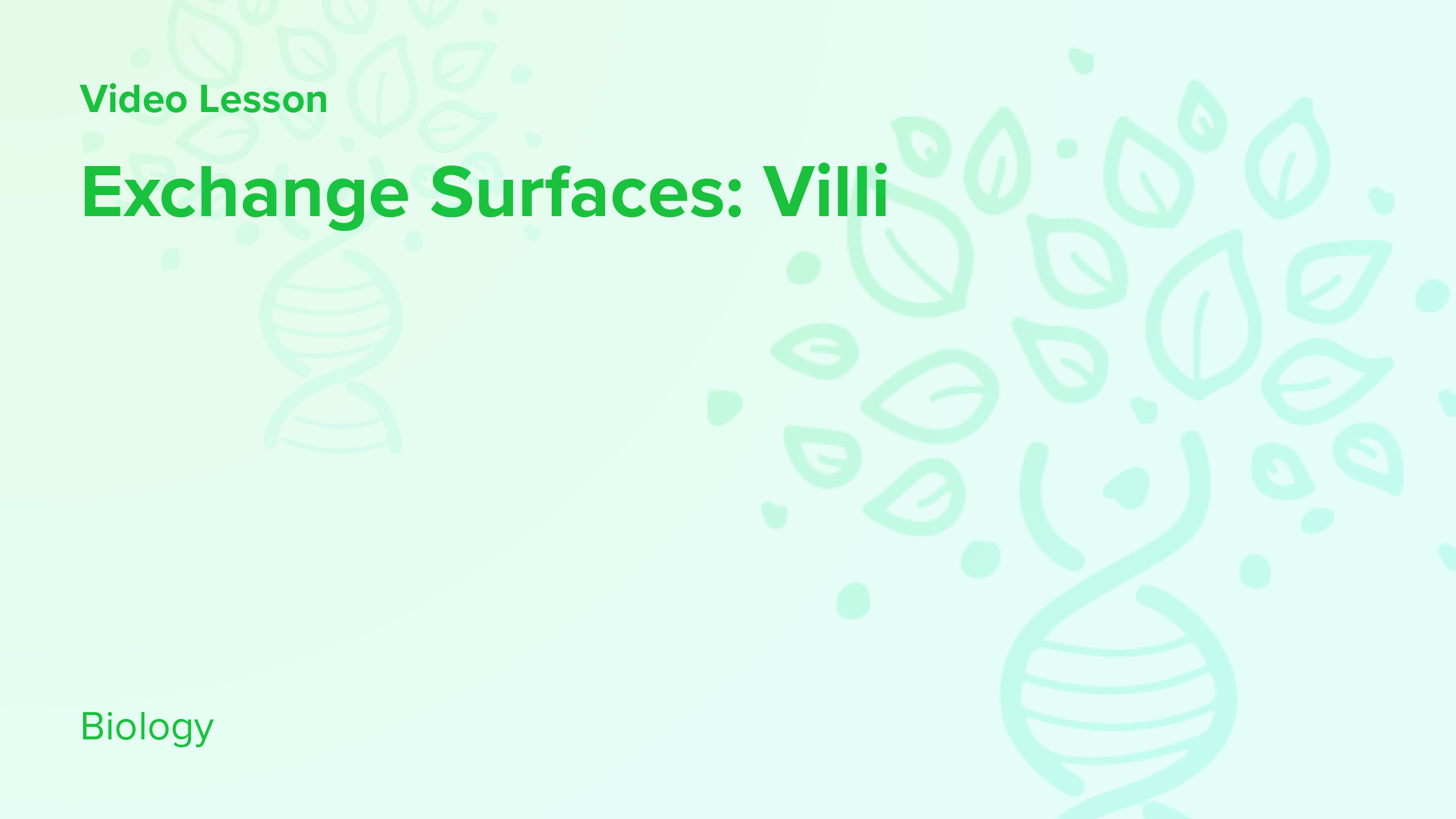 Exchange Surfaces: Villi - CENTURY