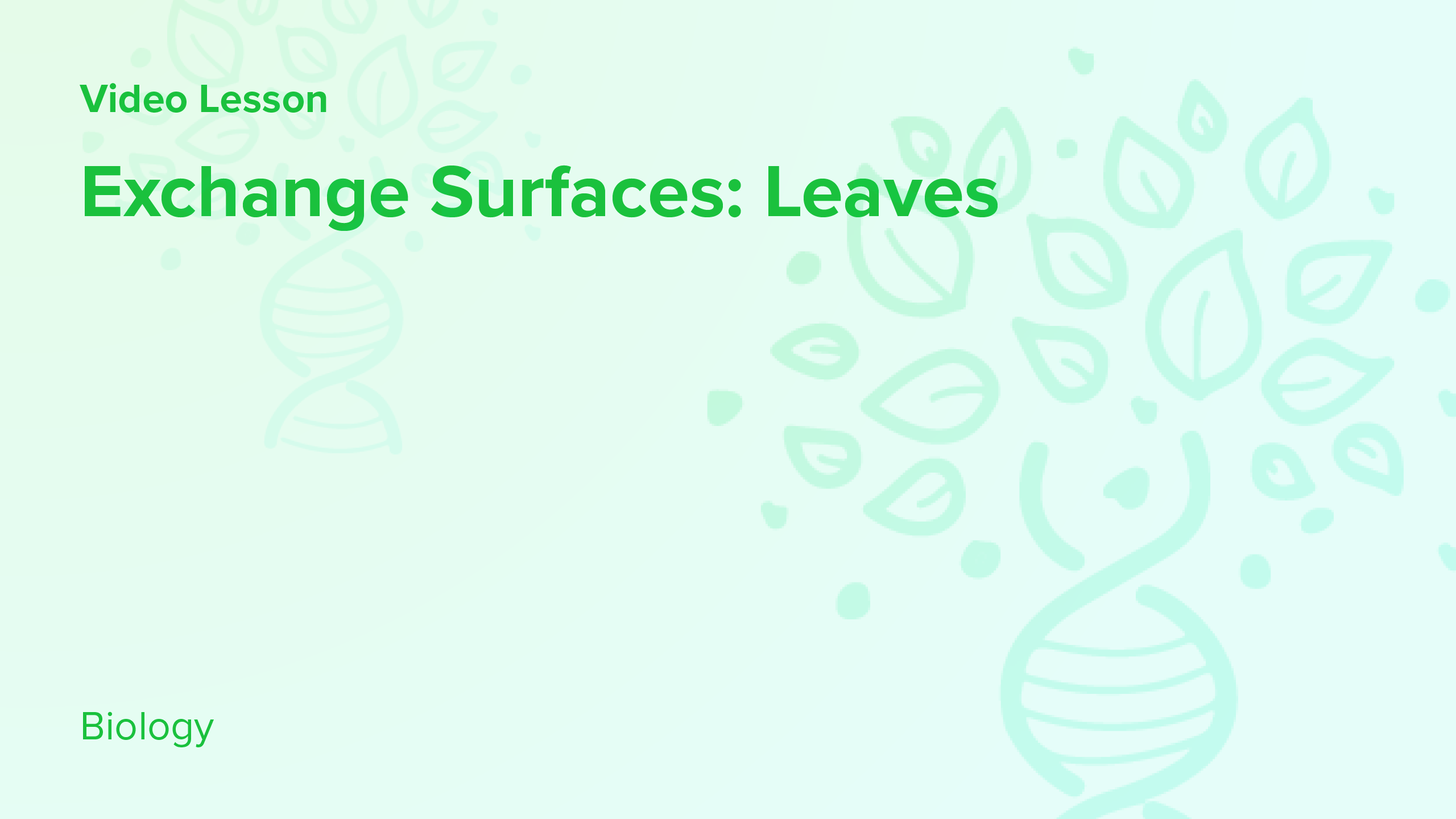 Exchange Surfaces: Leaves - CENTURY