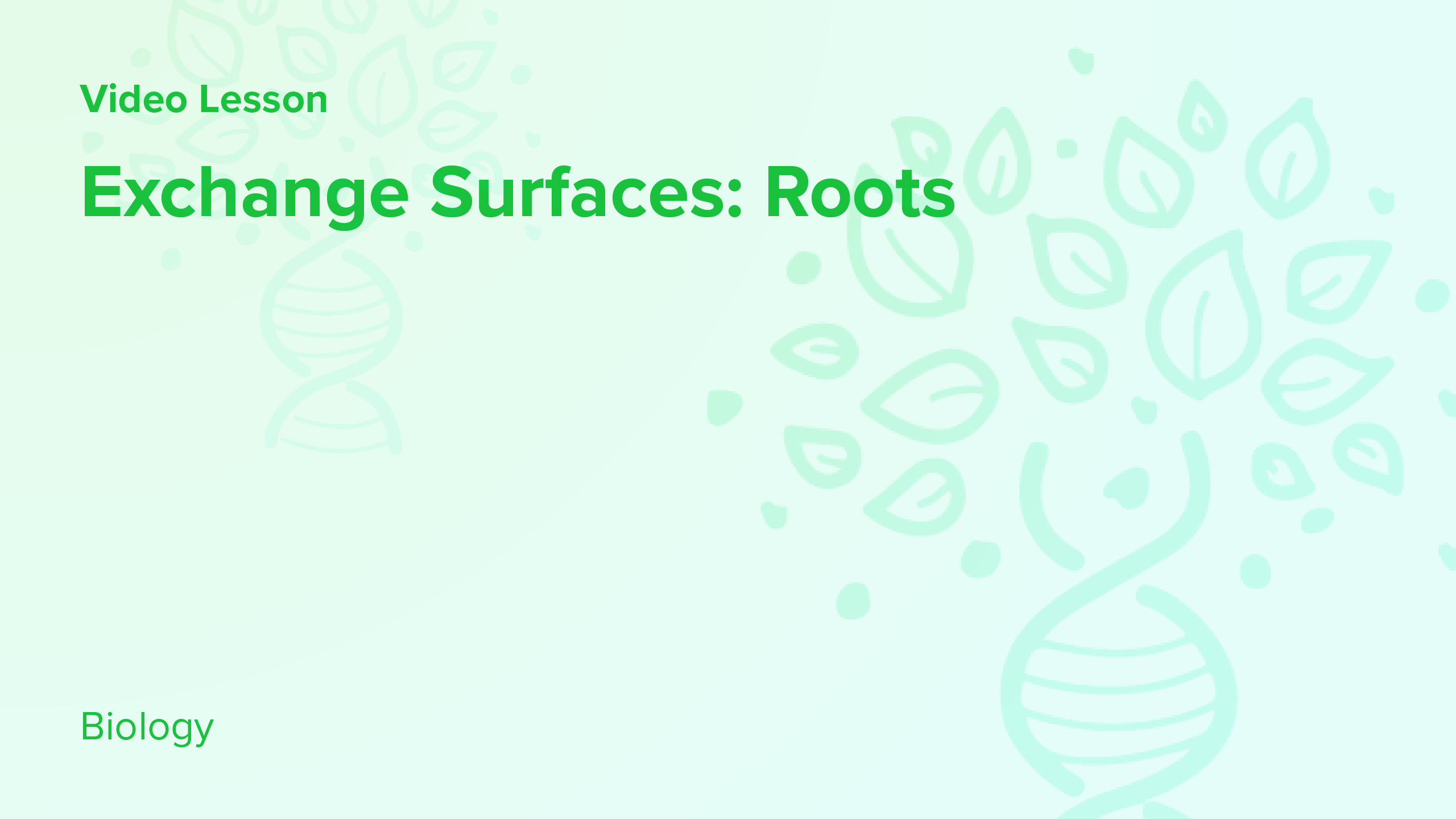 Exchange Surfaces: Roots - CENTURY